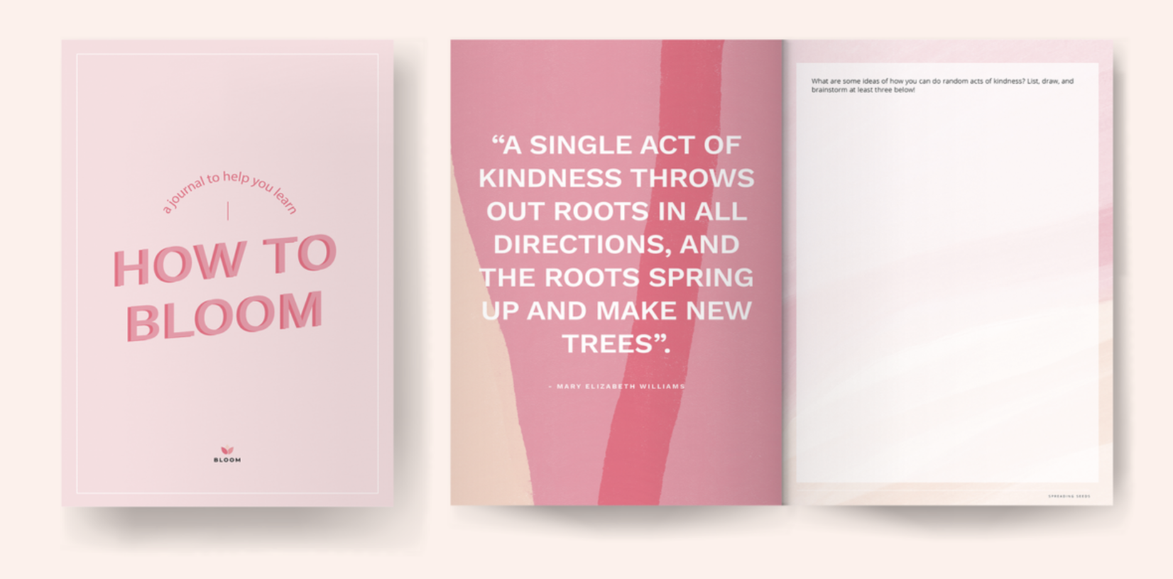 Andi Kay: Empowerment Through Community